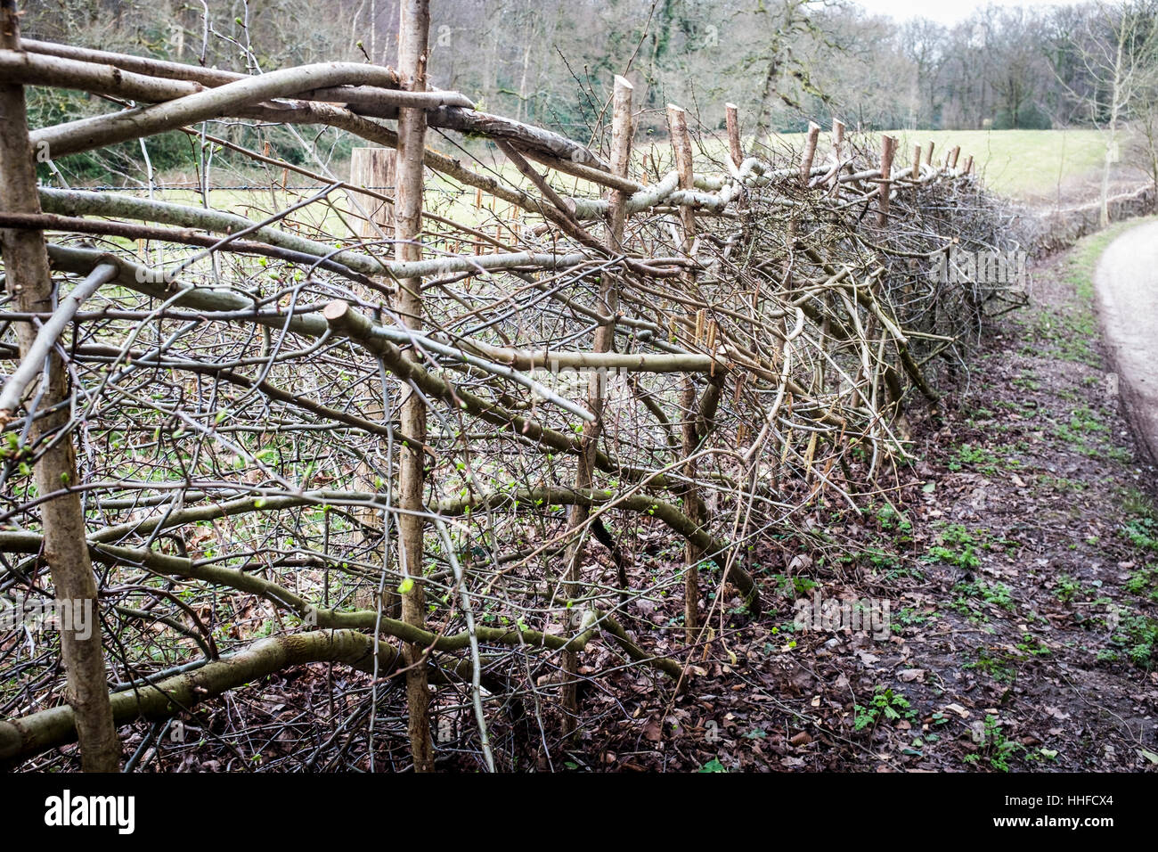 Layers of fencing hi-res stock photography and images - Alamy