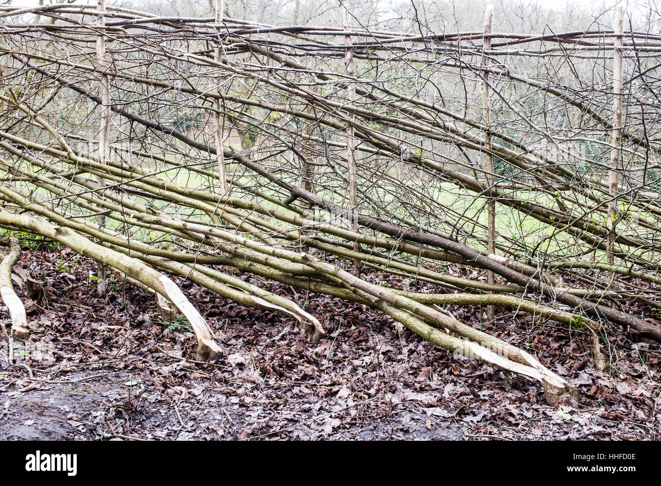 Layered wood fencing hi-res stock photography and images - Alamy