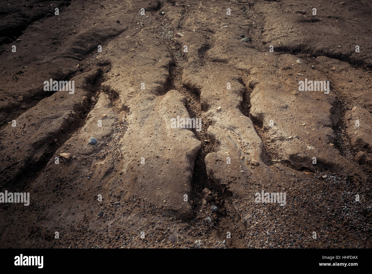 Close-up of soil and rock erosion on a shingle beach Stock Photo - Alamy