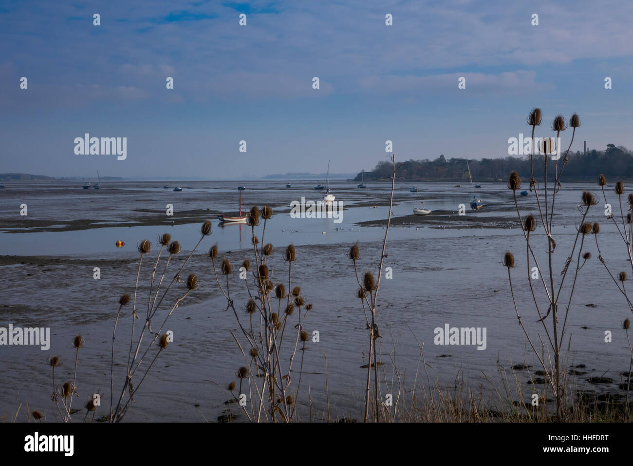 Estuary river hi-res stock photography and images - Alamy