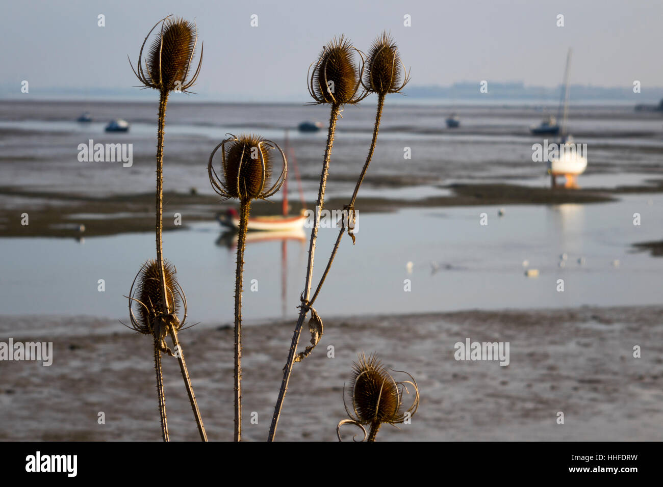 Estuary River Stour Stock Photo - Alamy