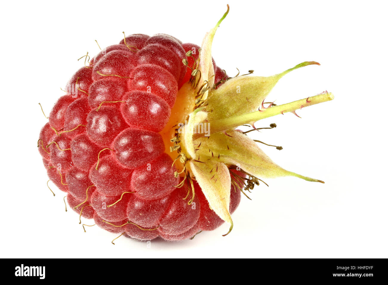 fresh picked raspberry isolated on white background Stock Photo - Alamy