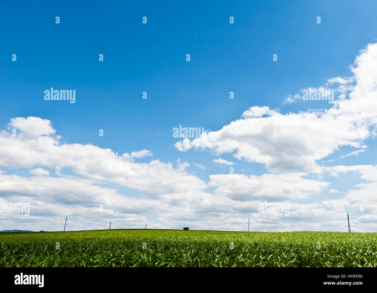 blue, tower, environment, enviroment, space, industry, industrial ...