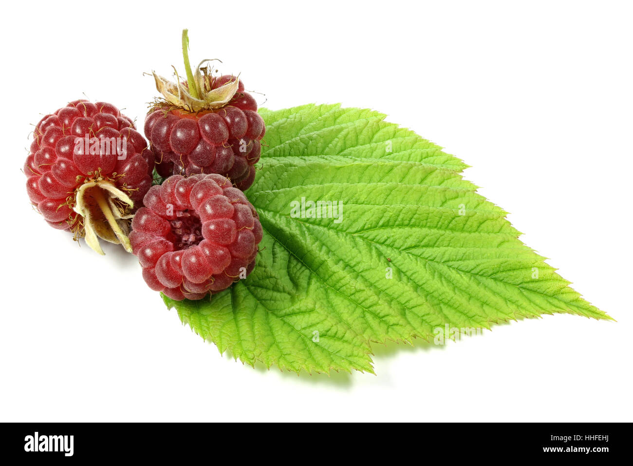 fresh picked raspberries isolated on white background Stock Photo - Alamy