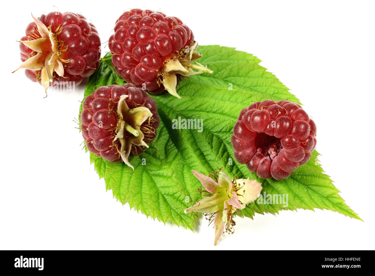 Raspberries isolated hi-res stock photography and images - Alamy