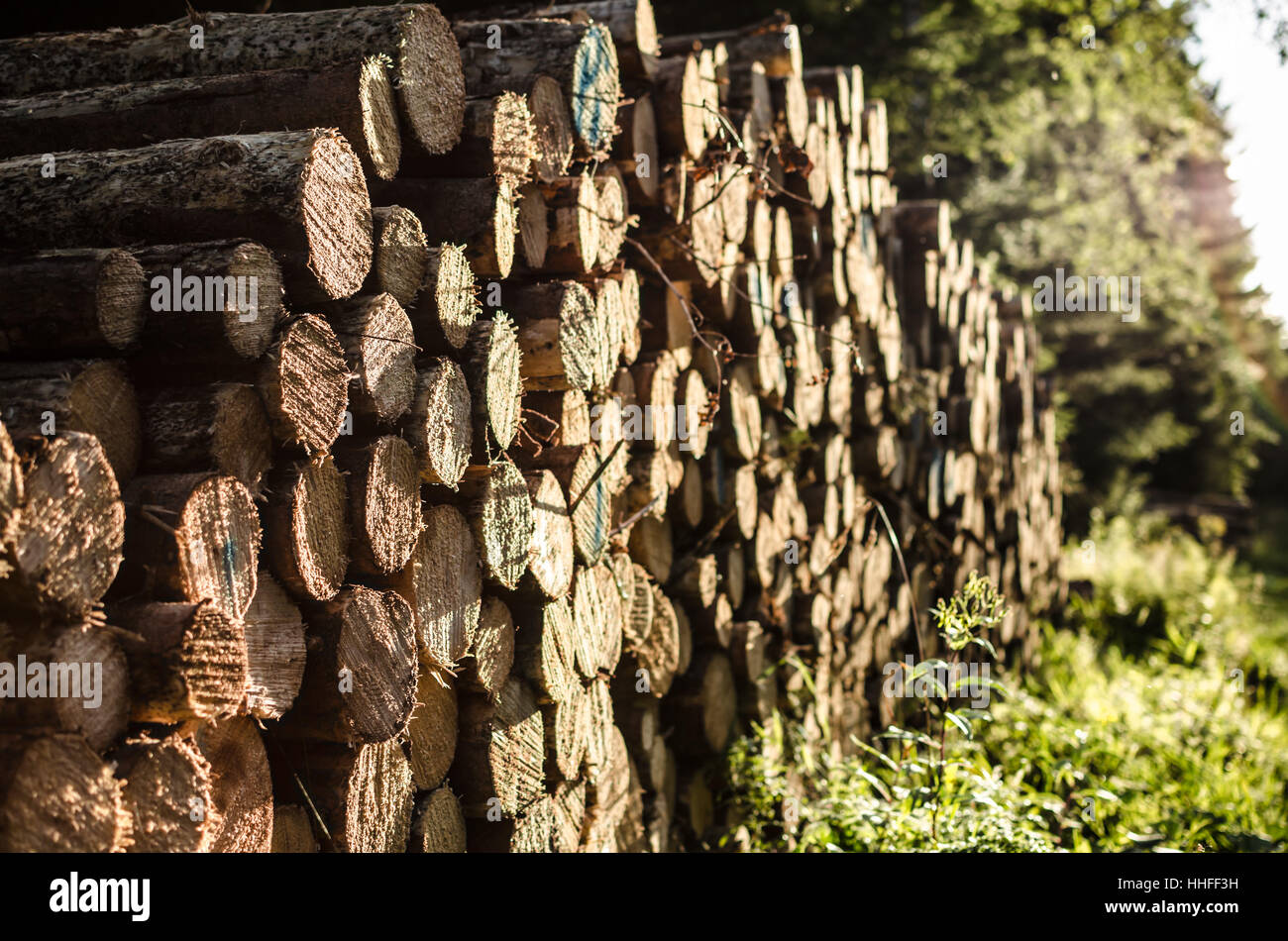 furniture, wood, sunshine, stack, raw material, scarcity, resource ...