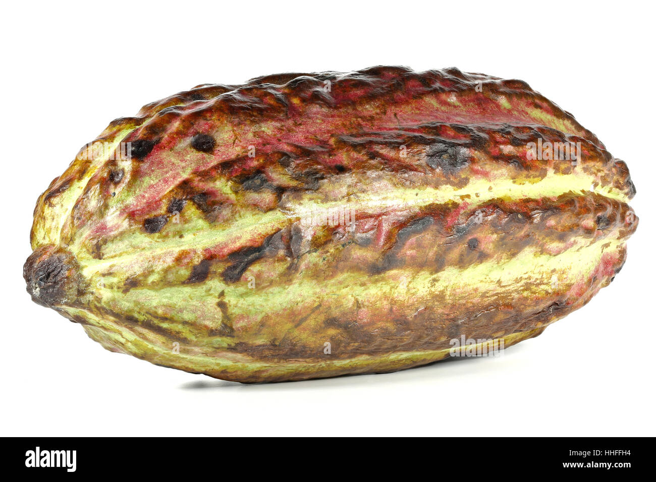 Cacao fruit hi-res stock photography and images - Alamy