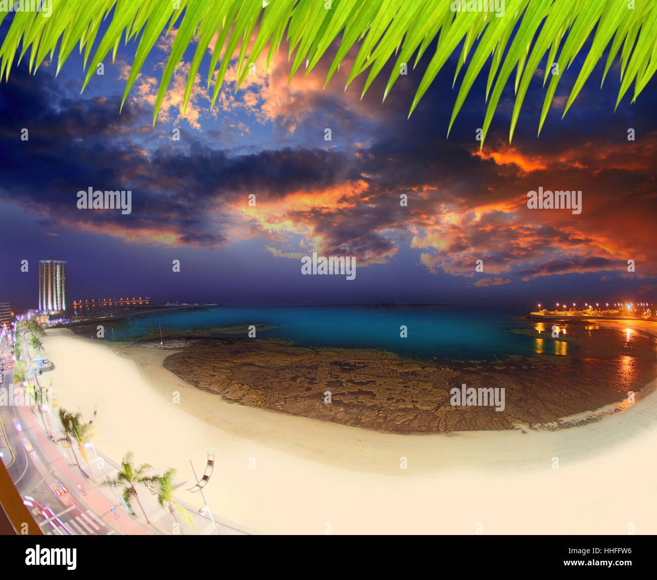 blue, travel, tree, holiday, vacation, holidays, vacations, night ...