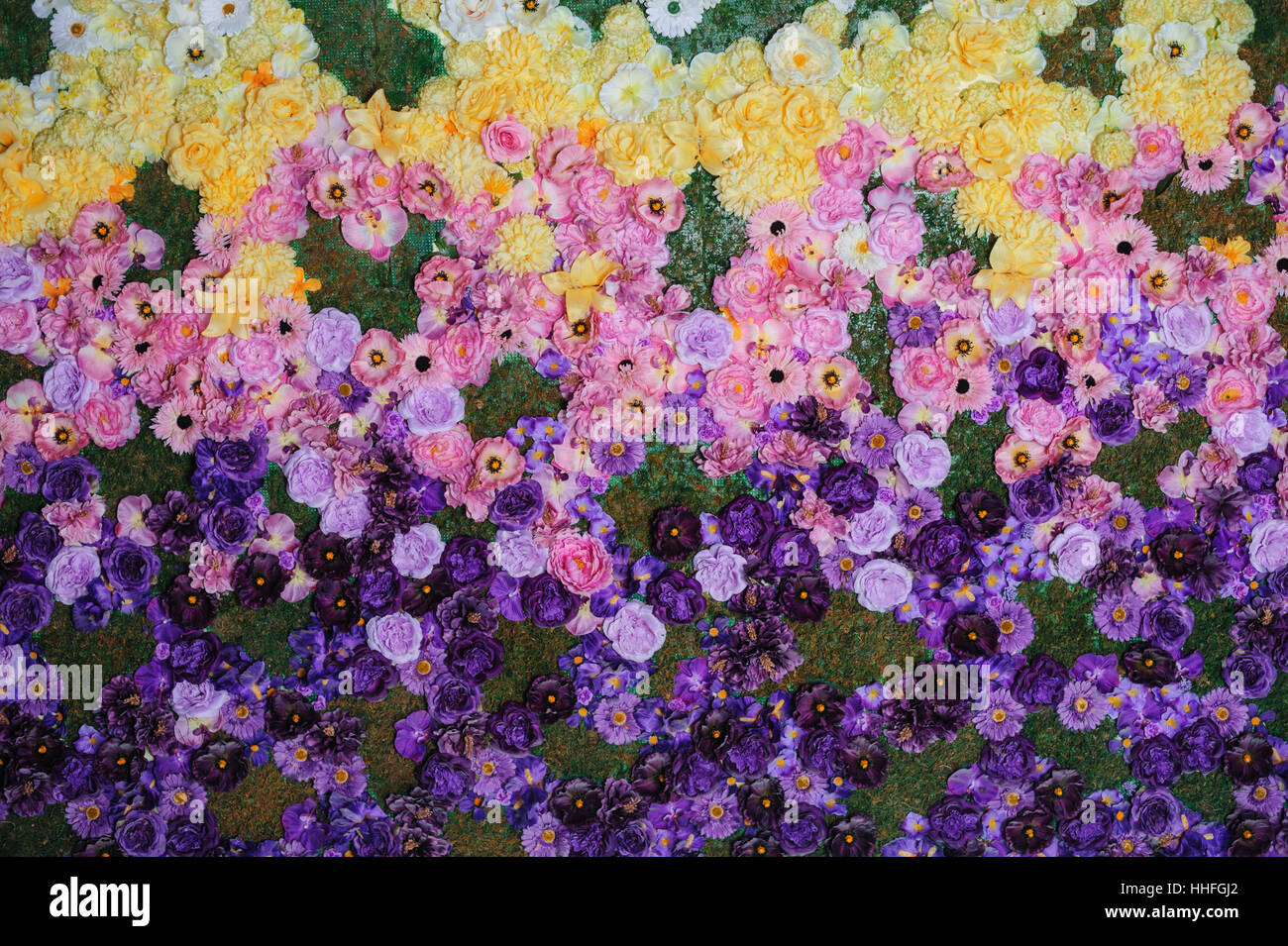 texture on a flowerbed of colorful flowers in the Park Stock Photo - Alamy
