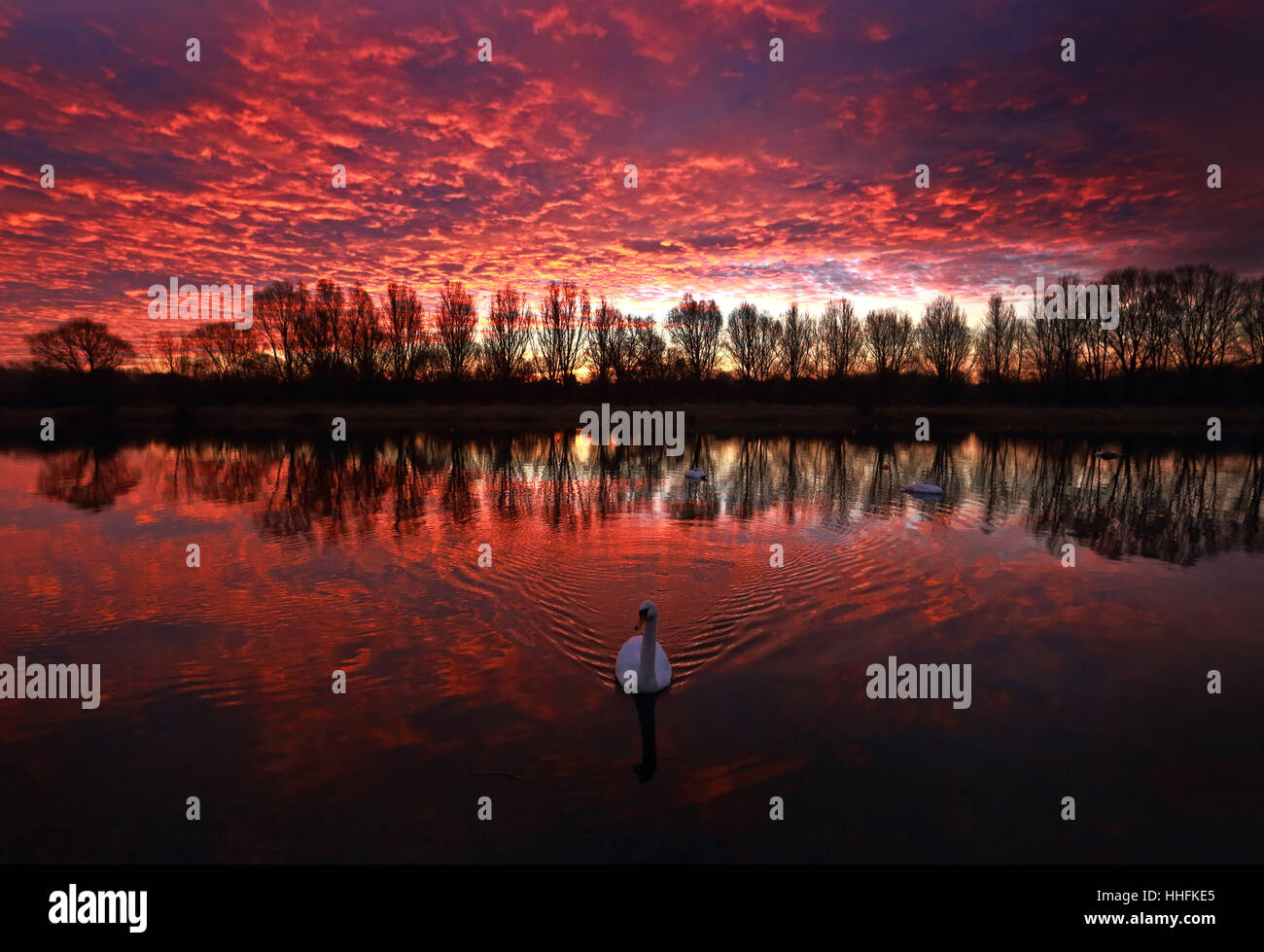 Rowing lake peterborough hi-res stock photography and images - Alamy