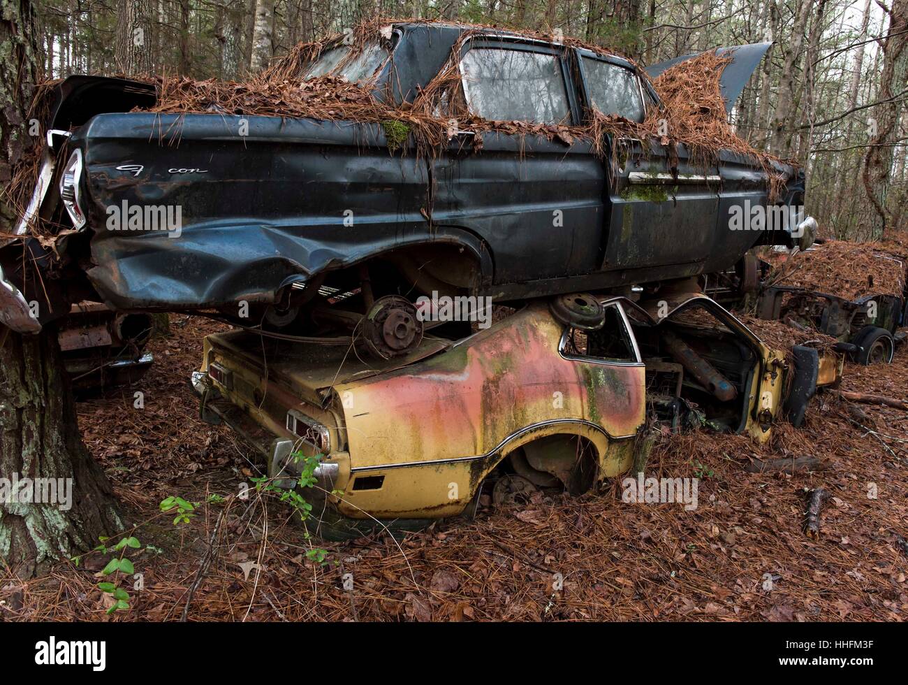 White, USA. 18th Jan, 2017. Old Car City USA, a classic car junkyard ...