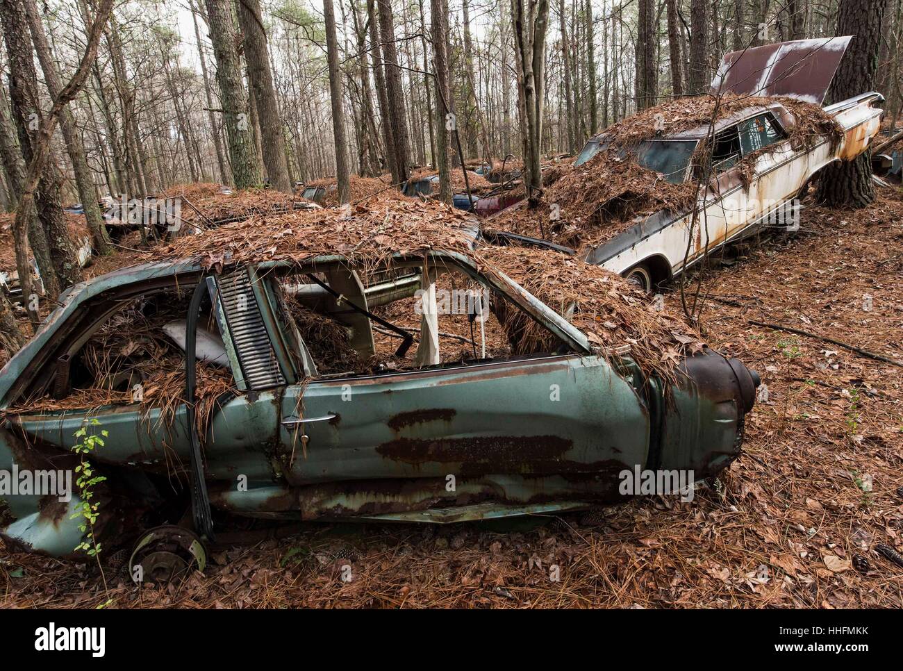 White, USA. 18th Jan, 2017. Old Car City USA, a classic car junkyard ...