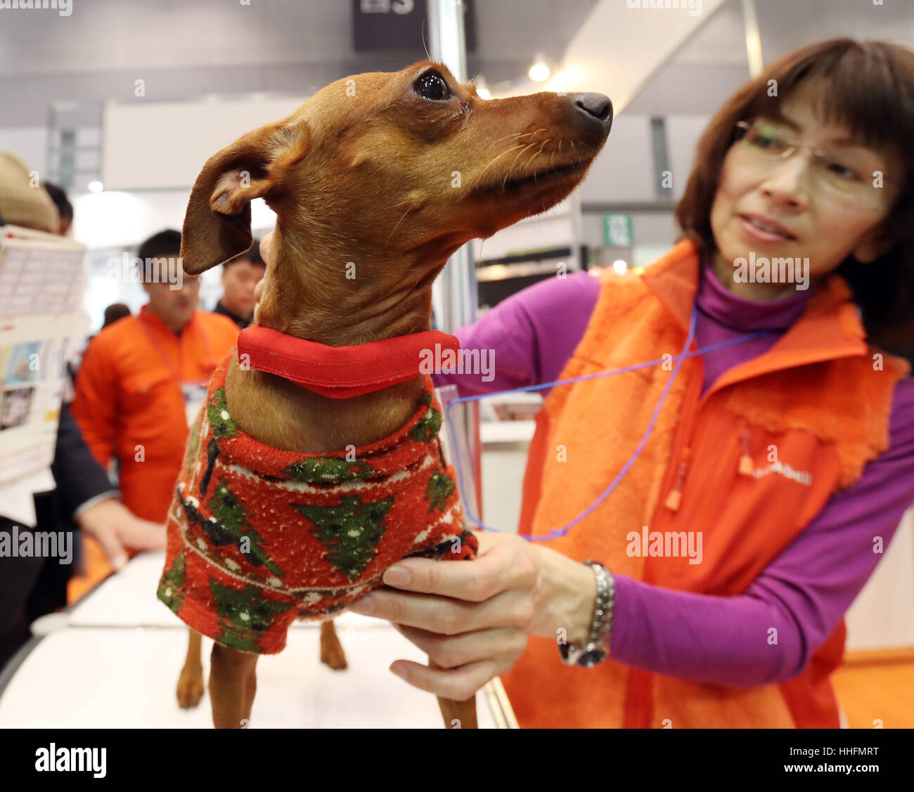 Tokyo, Japan. 18th Jan, 2017. A dog wears a communication device "Amu ...
