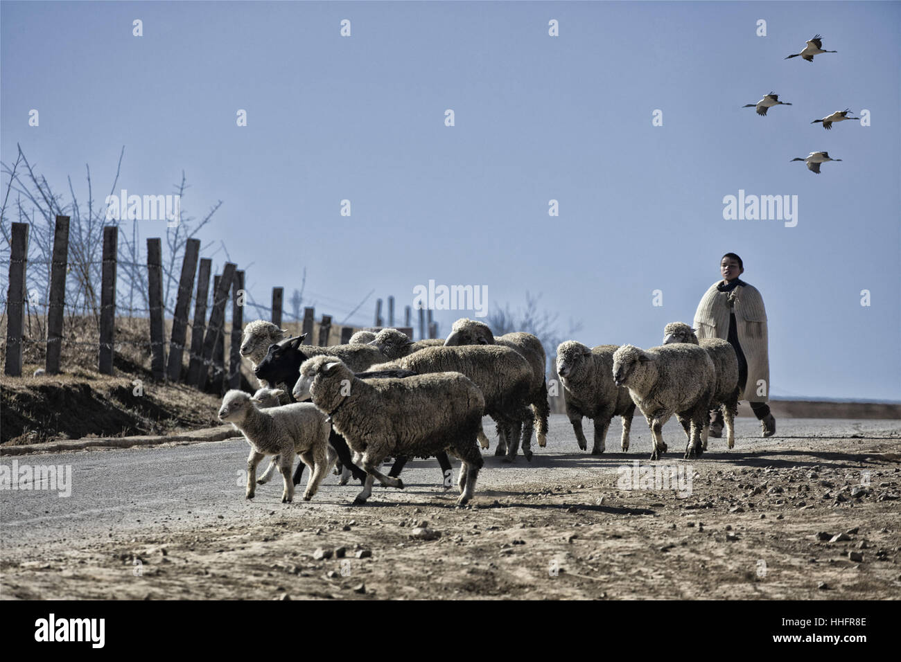 Zhaotong, Zhaotong, China. 19th Jan, 2017. The Dashanbao Natural ...
