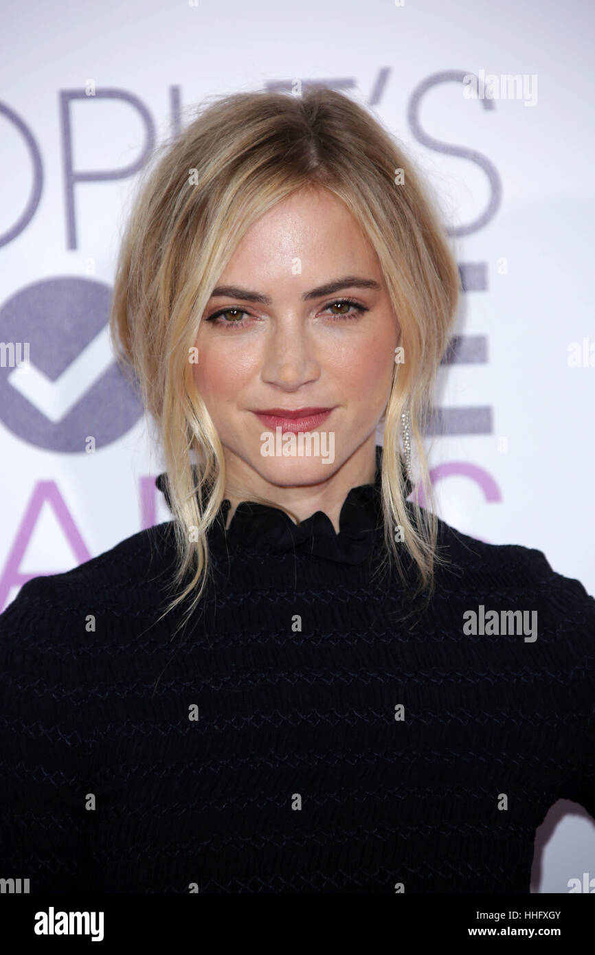Emily Wickersham The Bridge Character