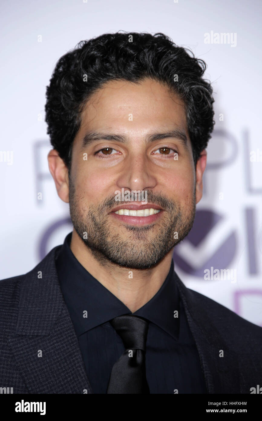 Los Angeles, Ca, USA. 18th Jan, 2017. Adam Rodriguez at the 42nd Annual ...