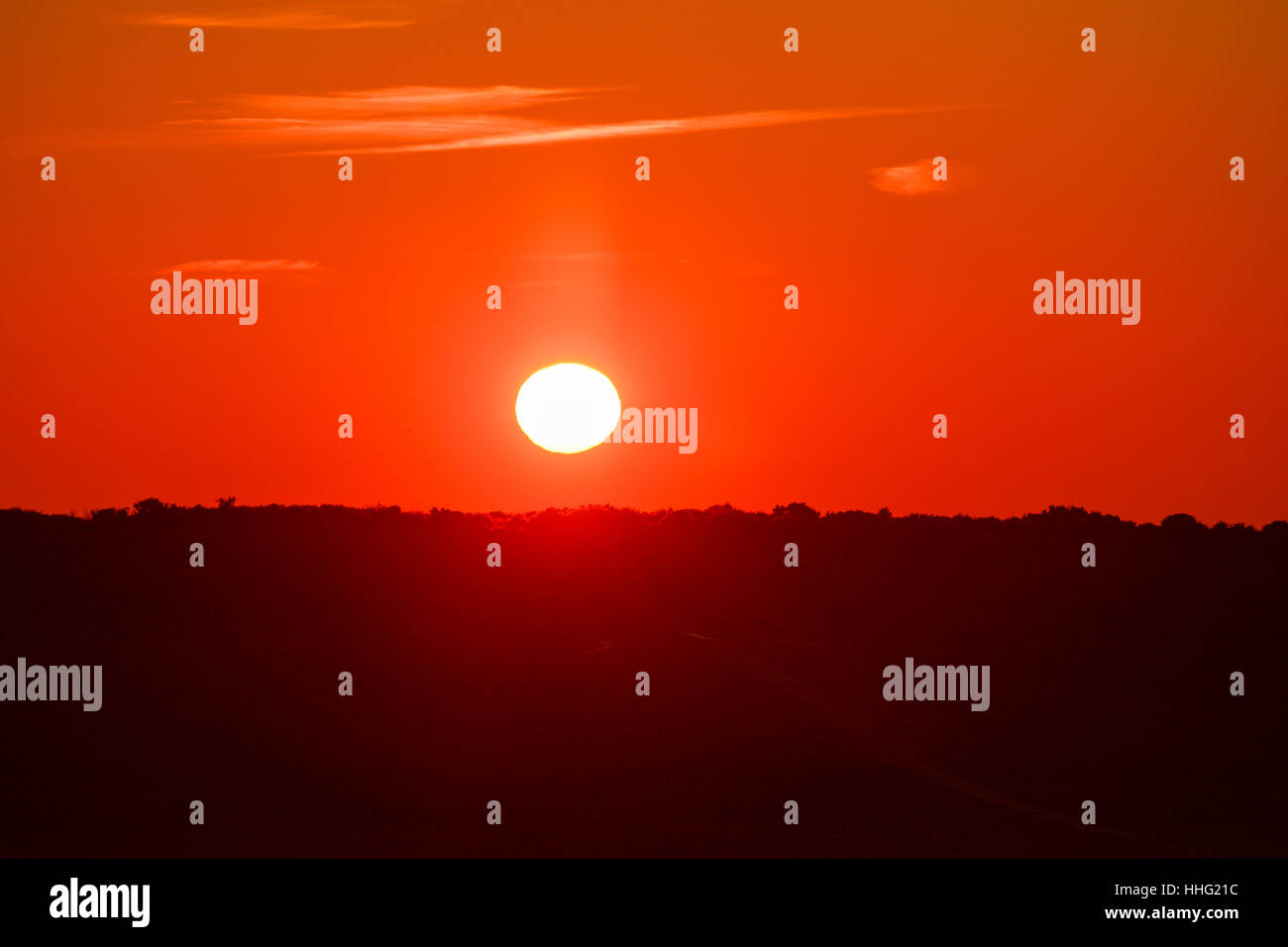 Red sky sunset over tree-lined horizon Stock Photo - Alamy