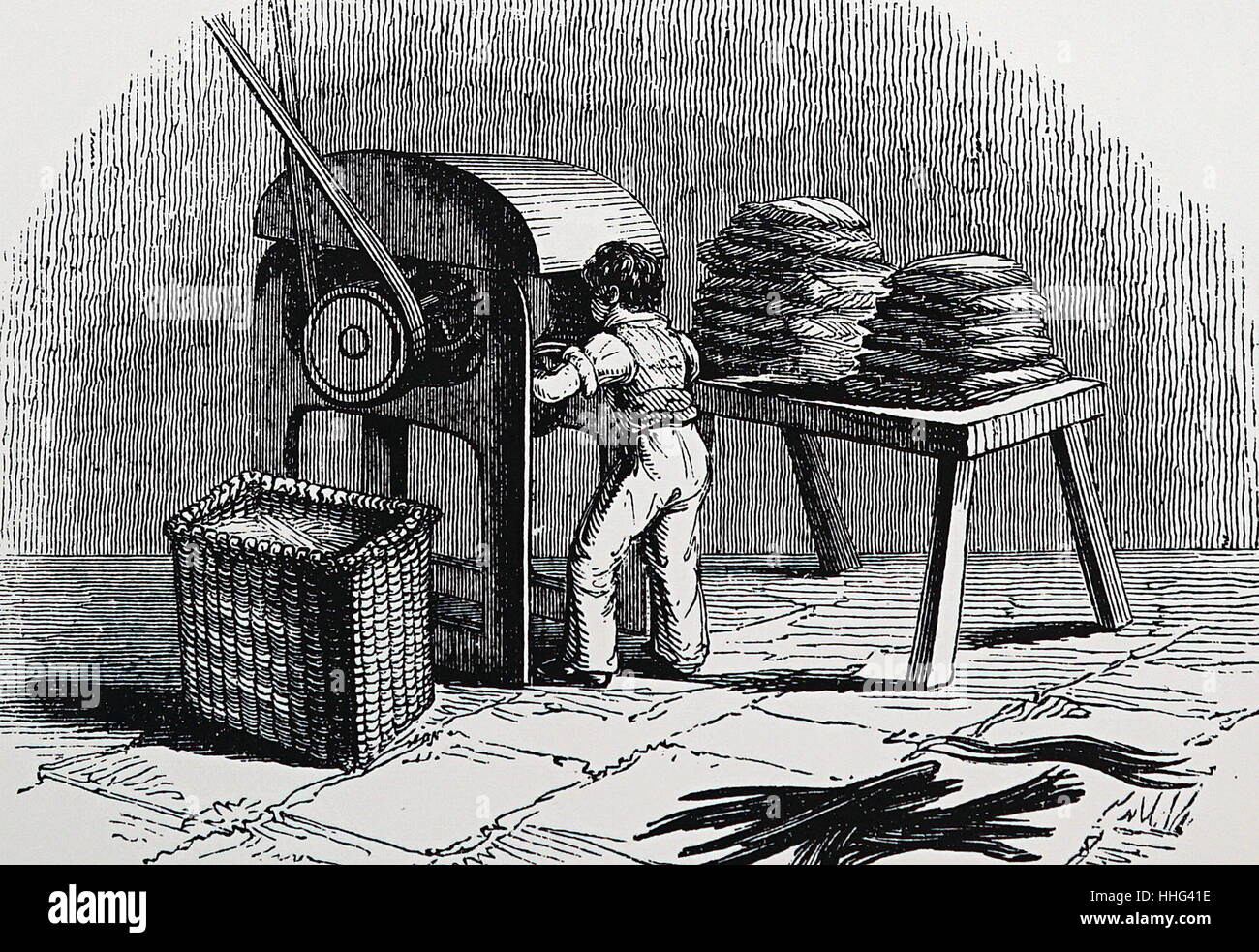 Illustration depicting a boy cutting flax stalks into length for ...