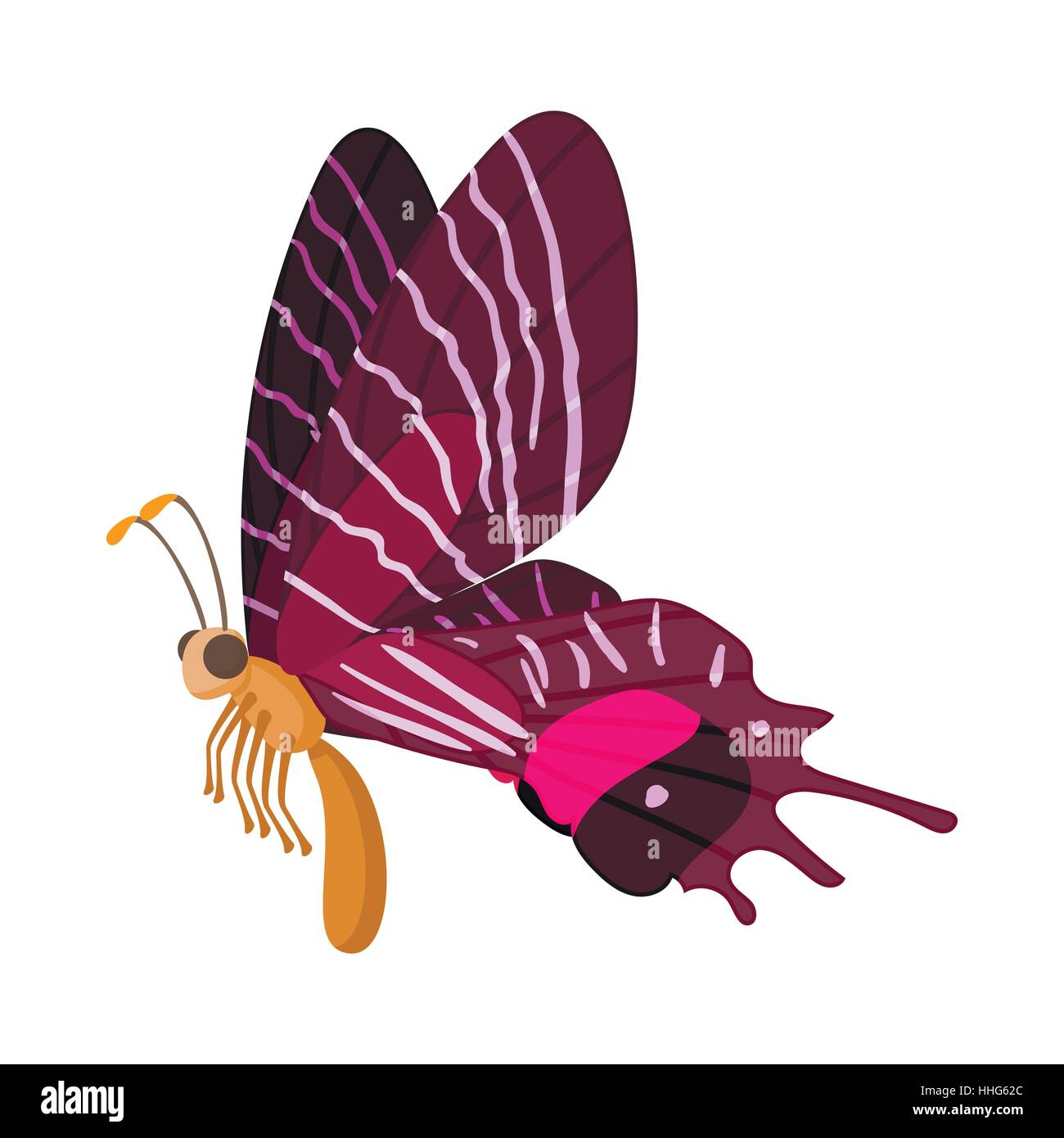 Colourful butterfly icon, cartoon style Stock Vector Image & Art - Alamy