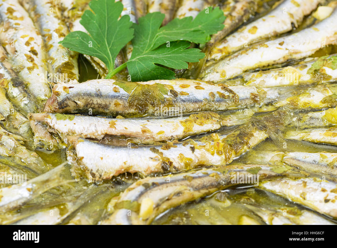 fish, appetizer, marinated, anchovies, blue, food, aliment, flow, fish ...