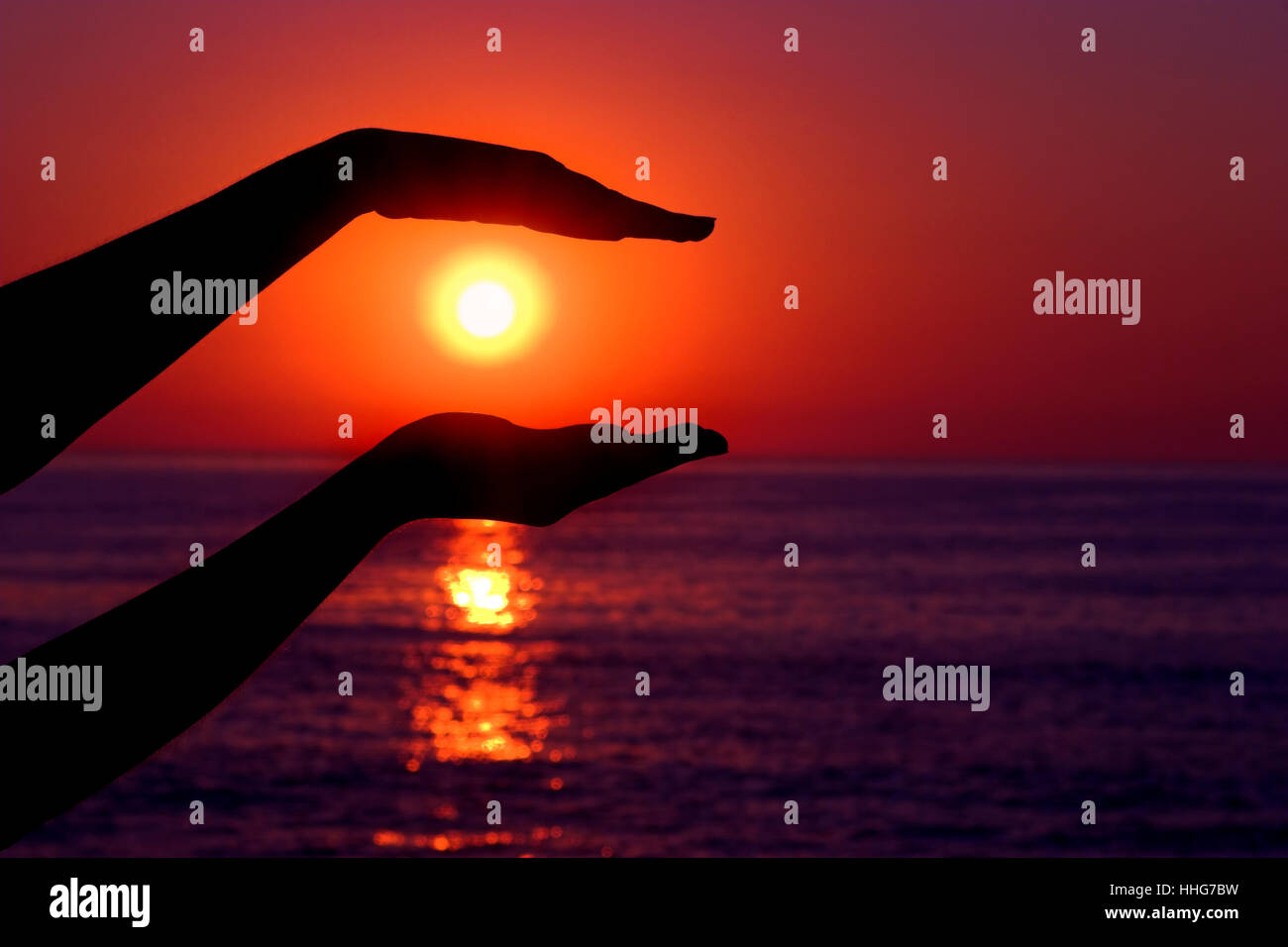 humans, human beings, people, folk, persons, human, human being, hand ...