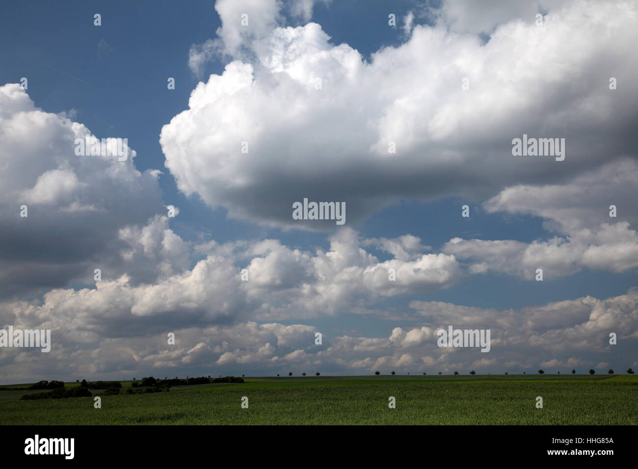 blue, tree, trees, green, globe, planet, earth, world, meadow ...