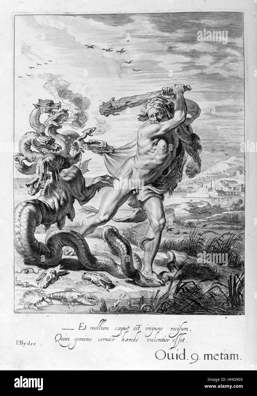 Hercules slays the hydra of lerna Black and White Stock Photos & Images ...