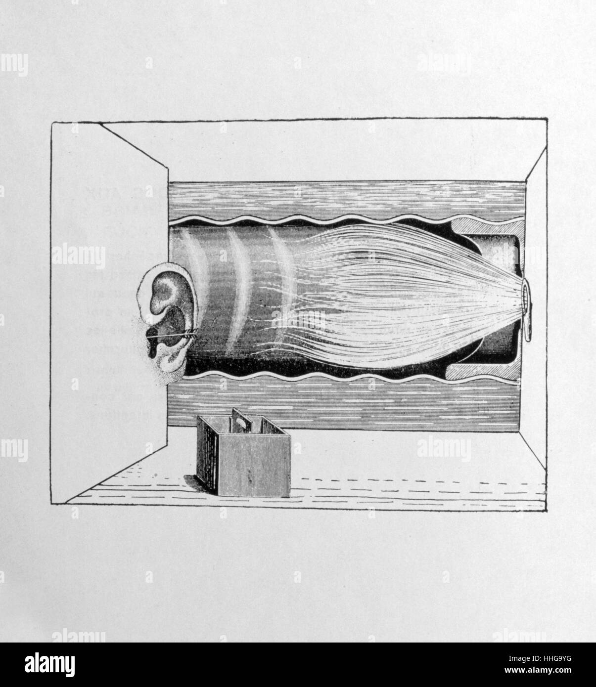 Max 1891 1976 hi-res stock photography and images - Alamy