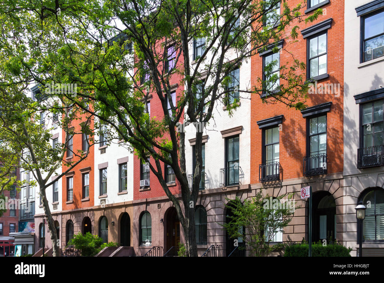 Tree lined historic street hi-res stock photography and images - Alamy
