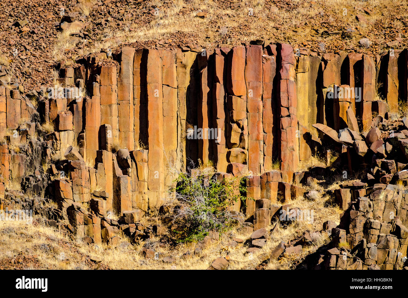 Basalt with Columnar joinitng along the Deschutes river in Eastern ...