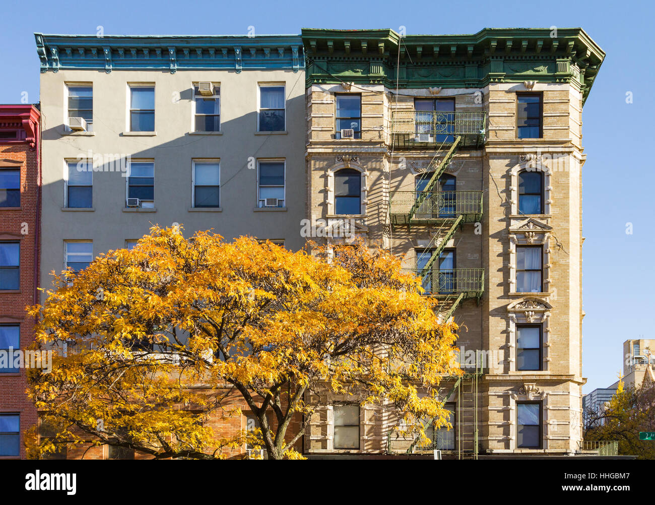 Colorful fall tree with golden leaves in front of an old apartment ...