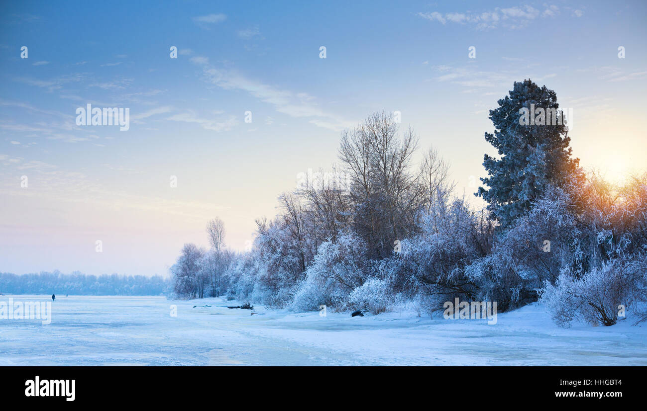 beautiful winter background; winter landscape On A Hoar Frost Stock ...