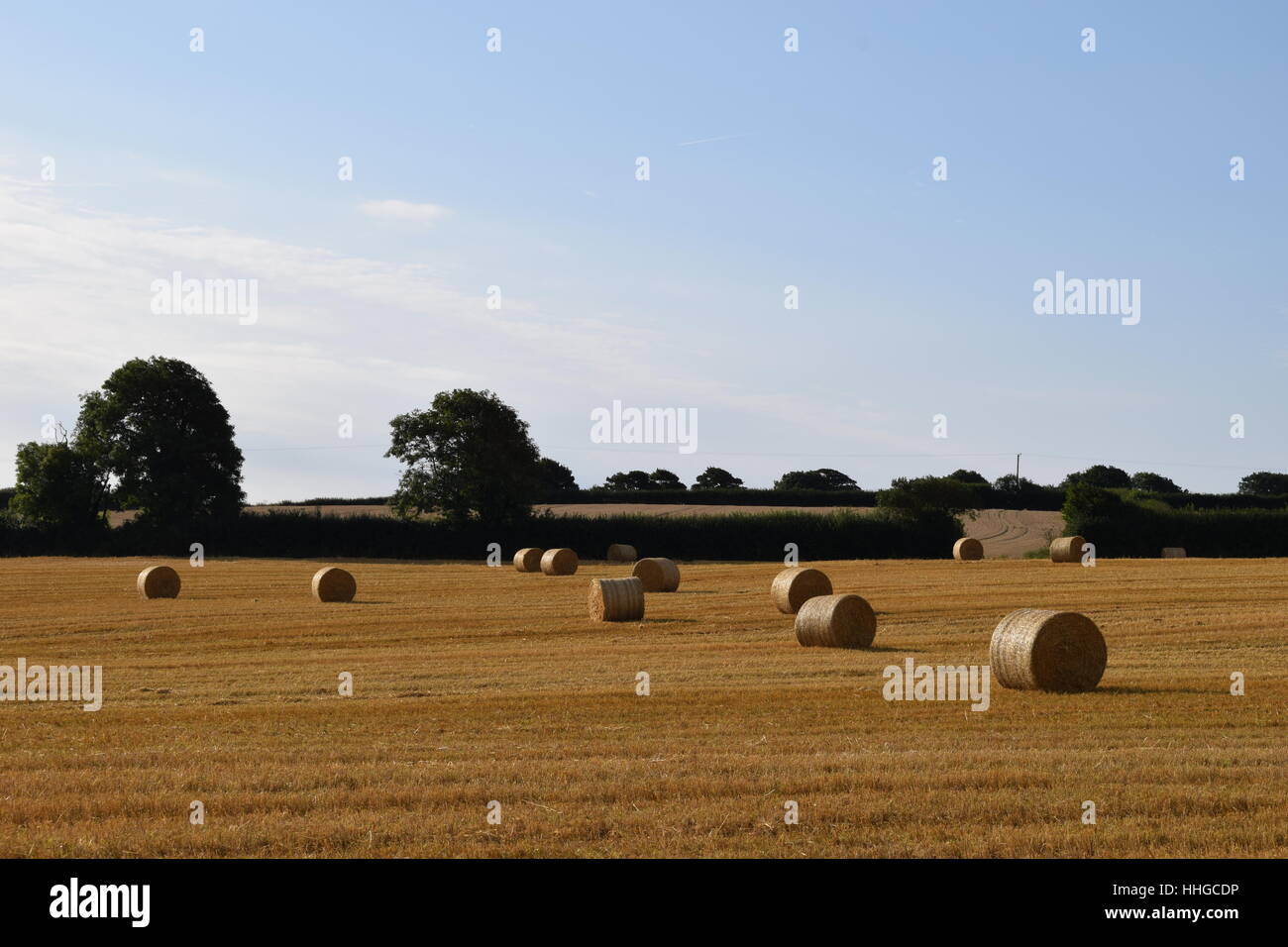Harvest hay bails hi-res stock photography and images - Alamy