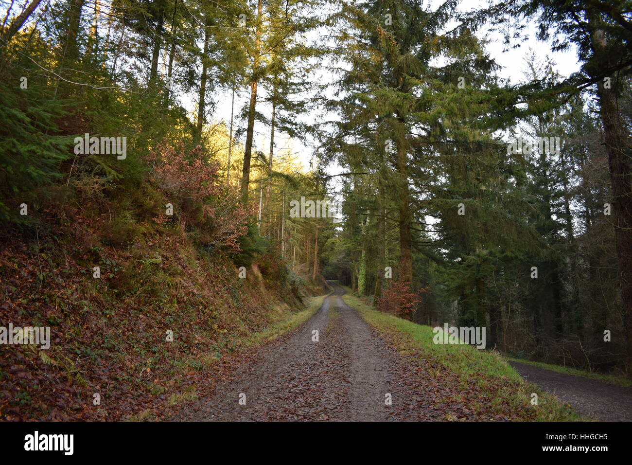 Things cornish hi-res stock photography and images - Alamy