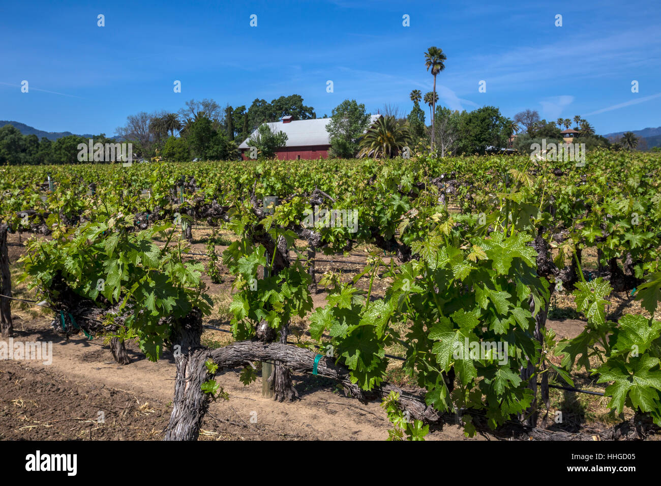 Round pond hi-res stock photography and images - Alamy