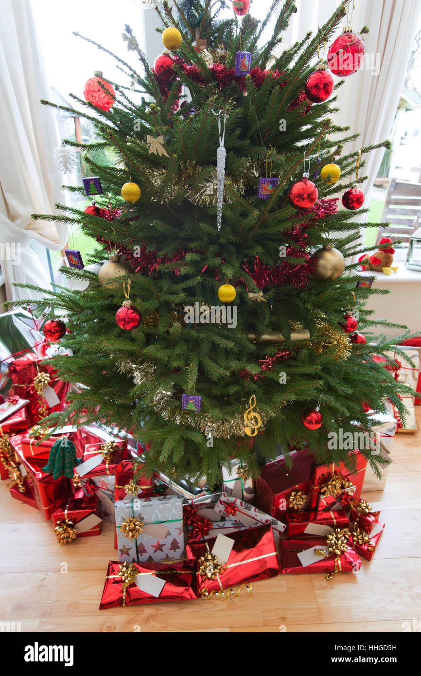 Real christmas tree house hi-res stock photography and images - Alamy