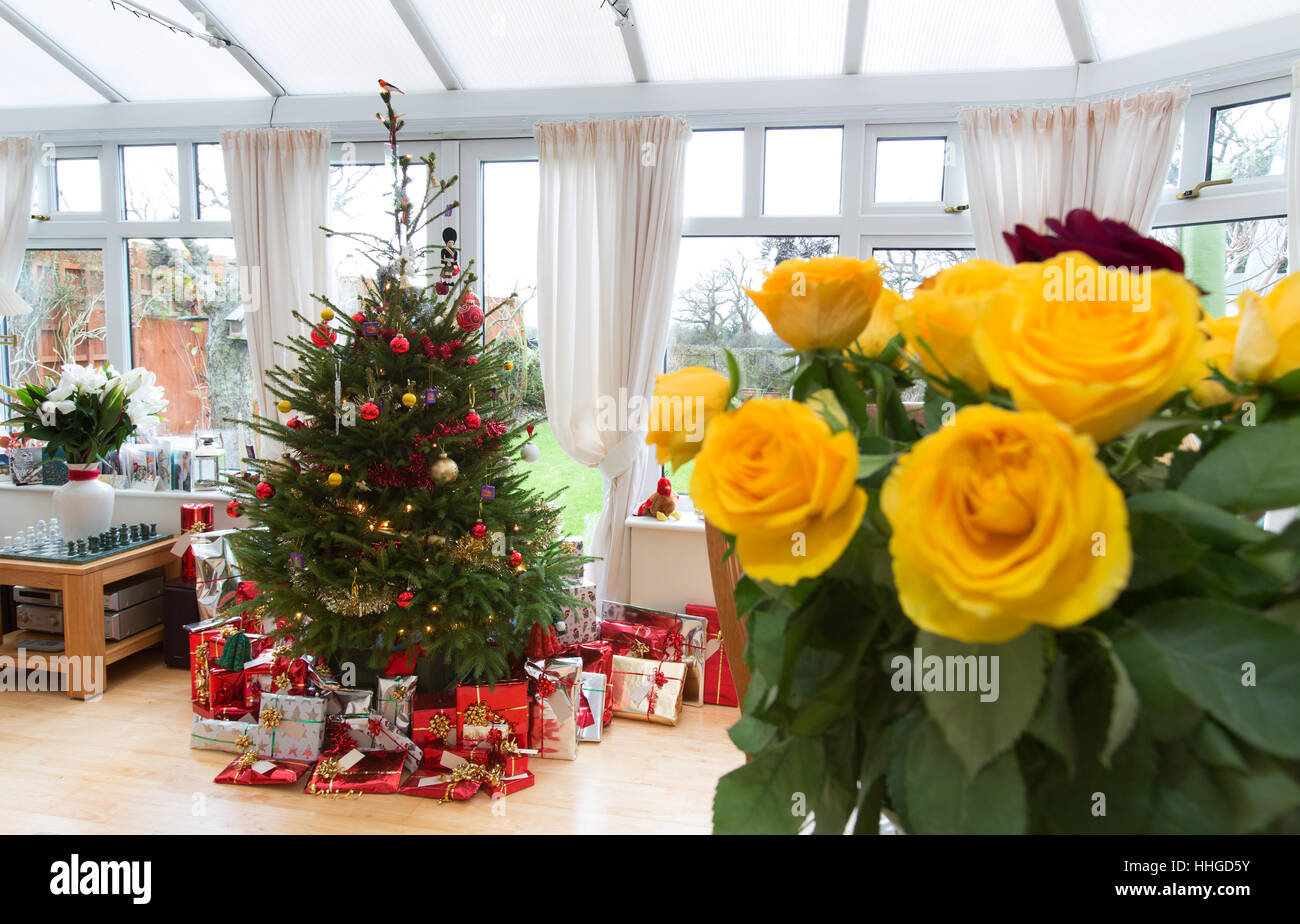 Real christmas tree house hi-res stock photography and images - Alamy