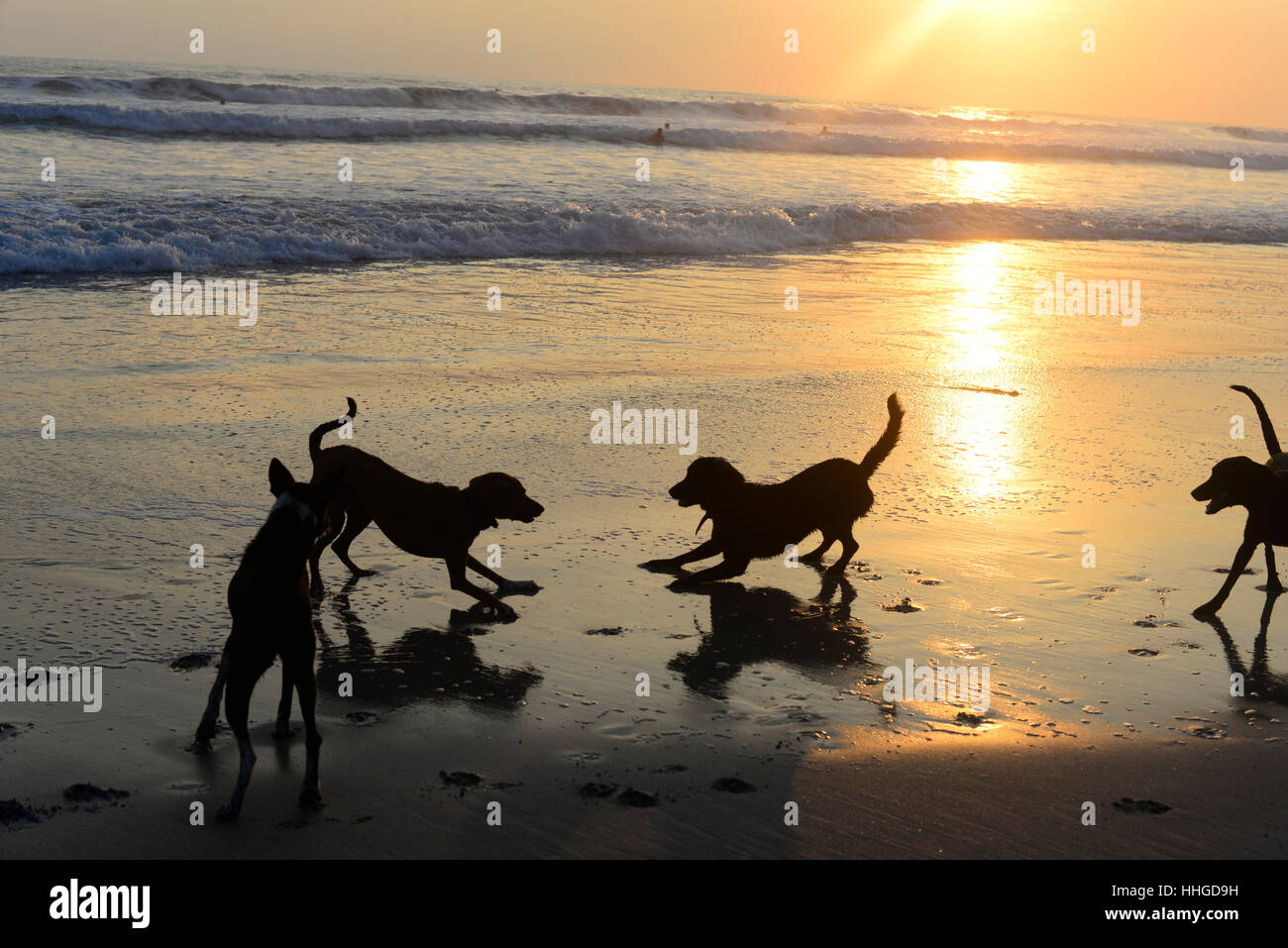 Exuberant waves hi-res stock photography and images - Alamy