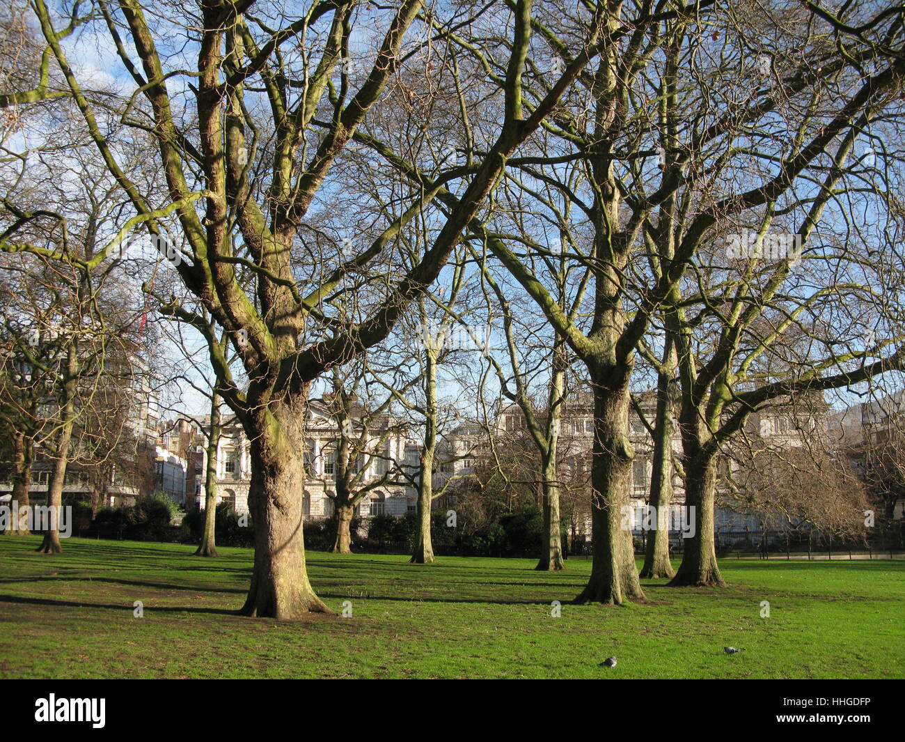 Green Park, London Stock Photo - Alamy