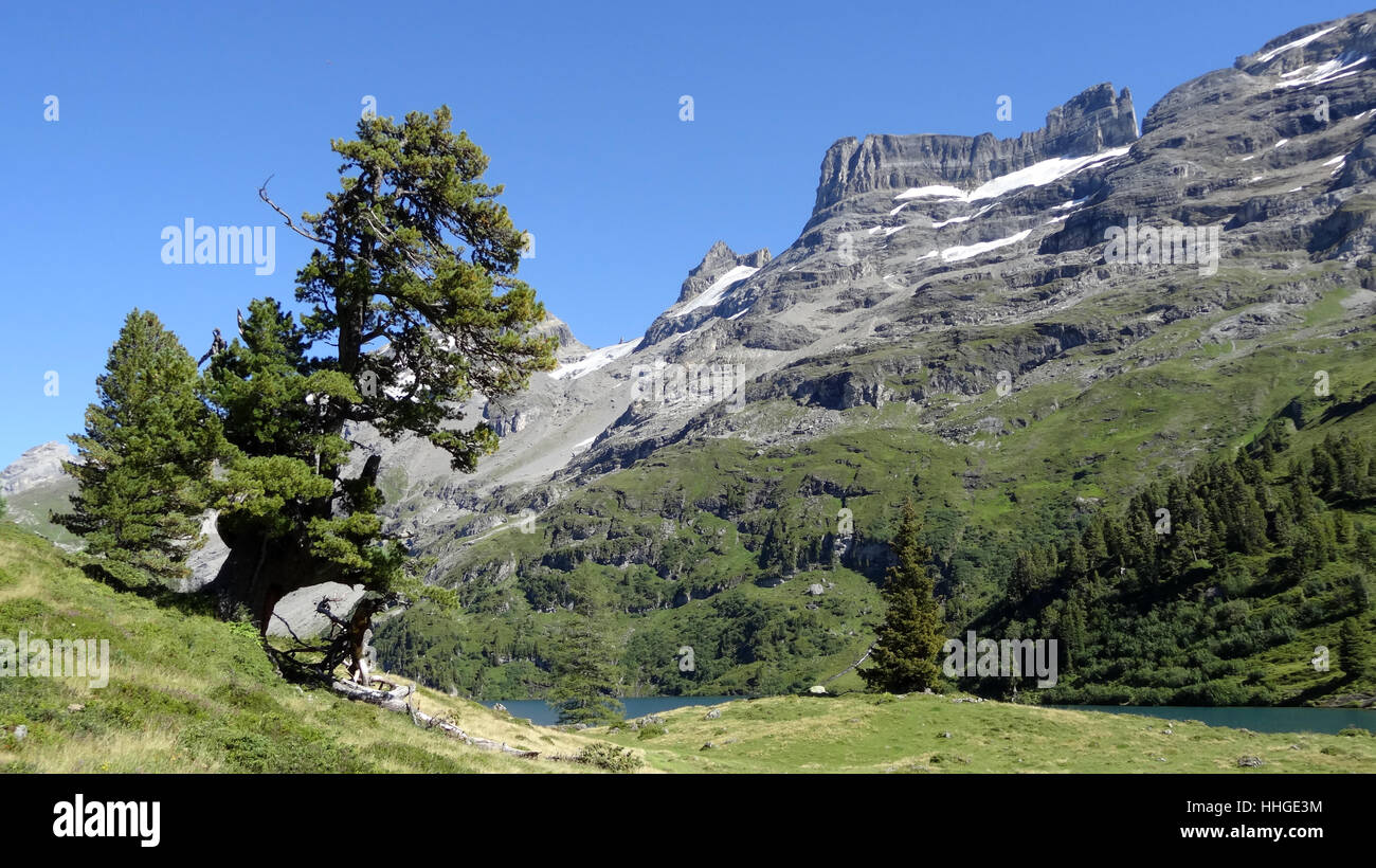 Engstlensee lake High Resolution Stock Photography and Images - Alamy