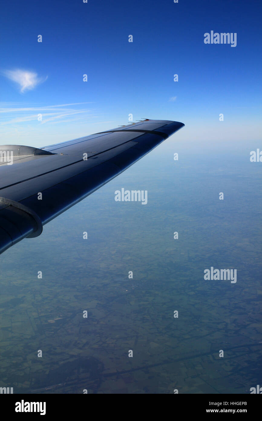 flight, wing, azure, bluer, voyage, meteorology, firmament, sky, fly ...