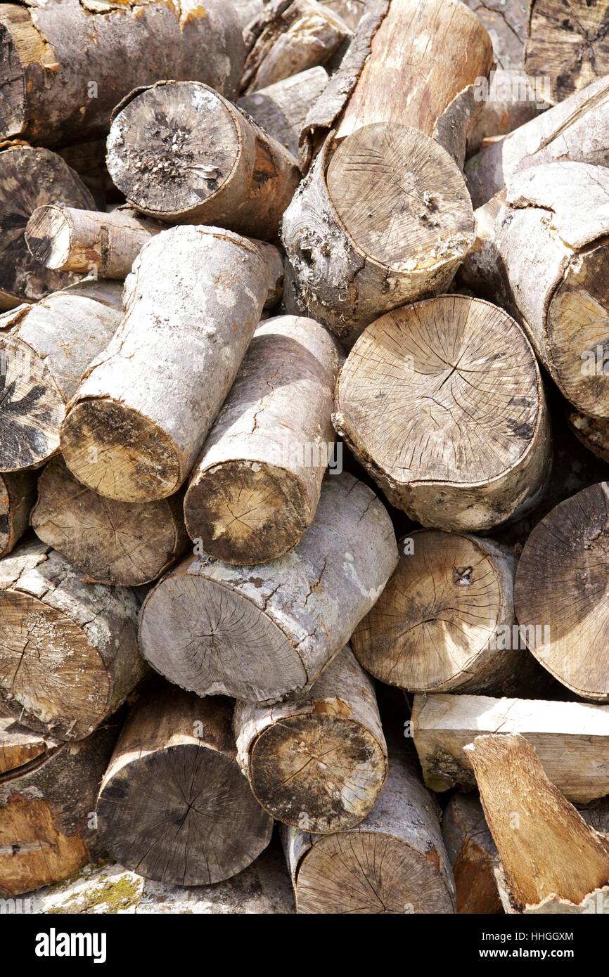 wood, branch, timber, stack, pattern, woodpile, forestry, texture ... wood, branch, timber, stack, pattern, woodpile, forestry, texture ...