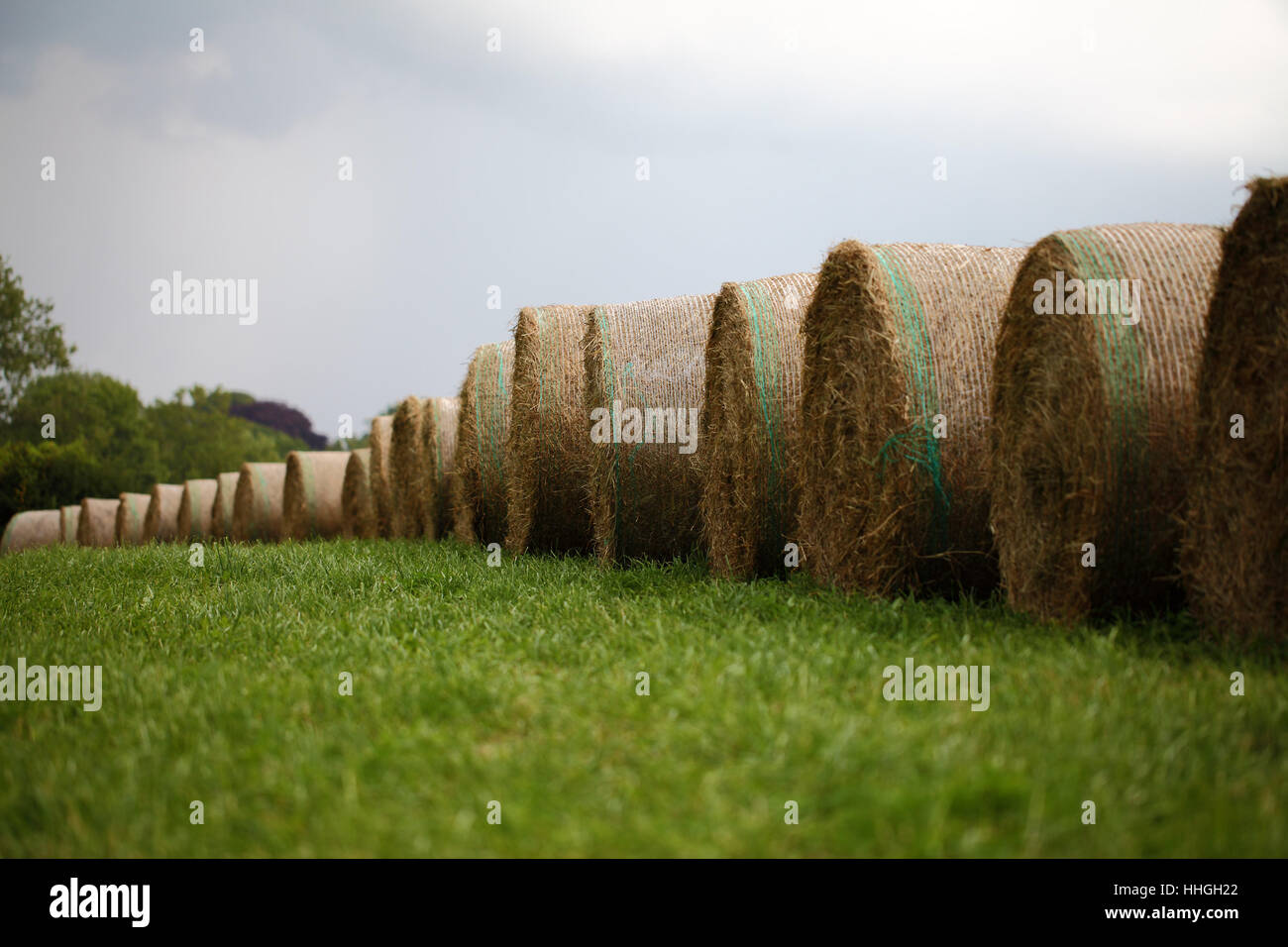 agriculture, farming, straw ball, straw, harvest time, litter, harvest ...
