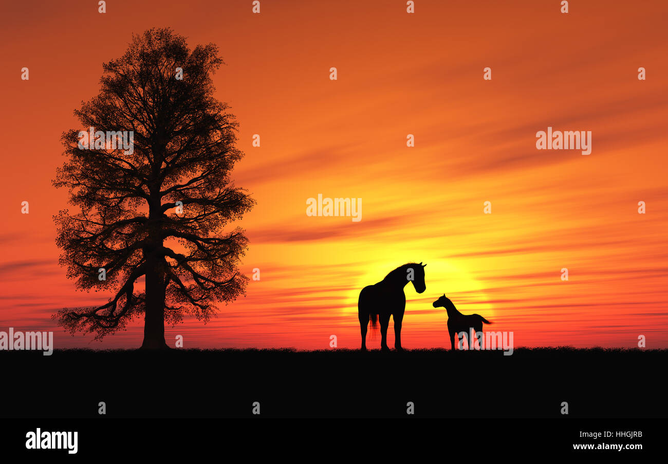 orange, shine, shines, bright, lucent, light, serene, luminous, tree ...