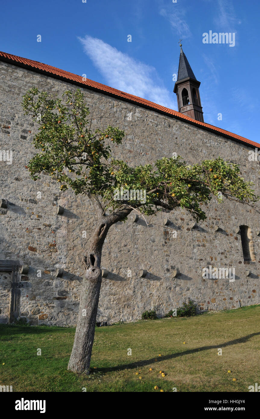 church, apple tree, Northern Germany, lower saxony, religion, church ...