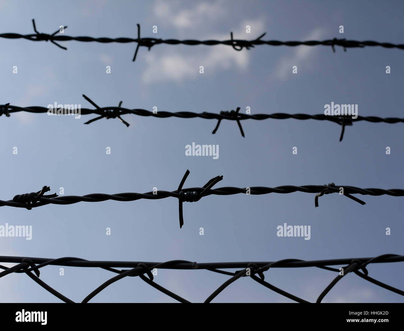 border, wire, fence, fence in, fencing, barbed-wire fence, lock, barb ...