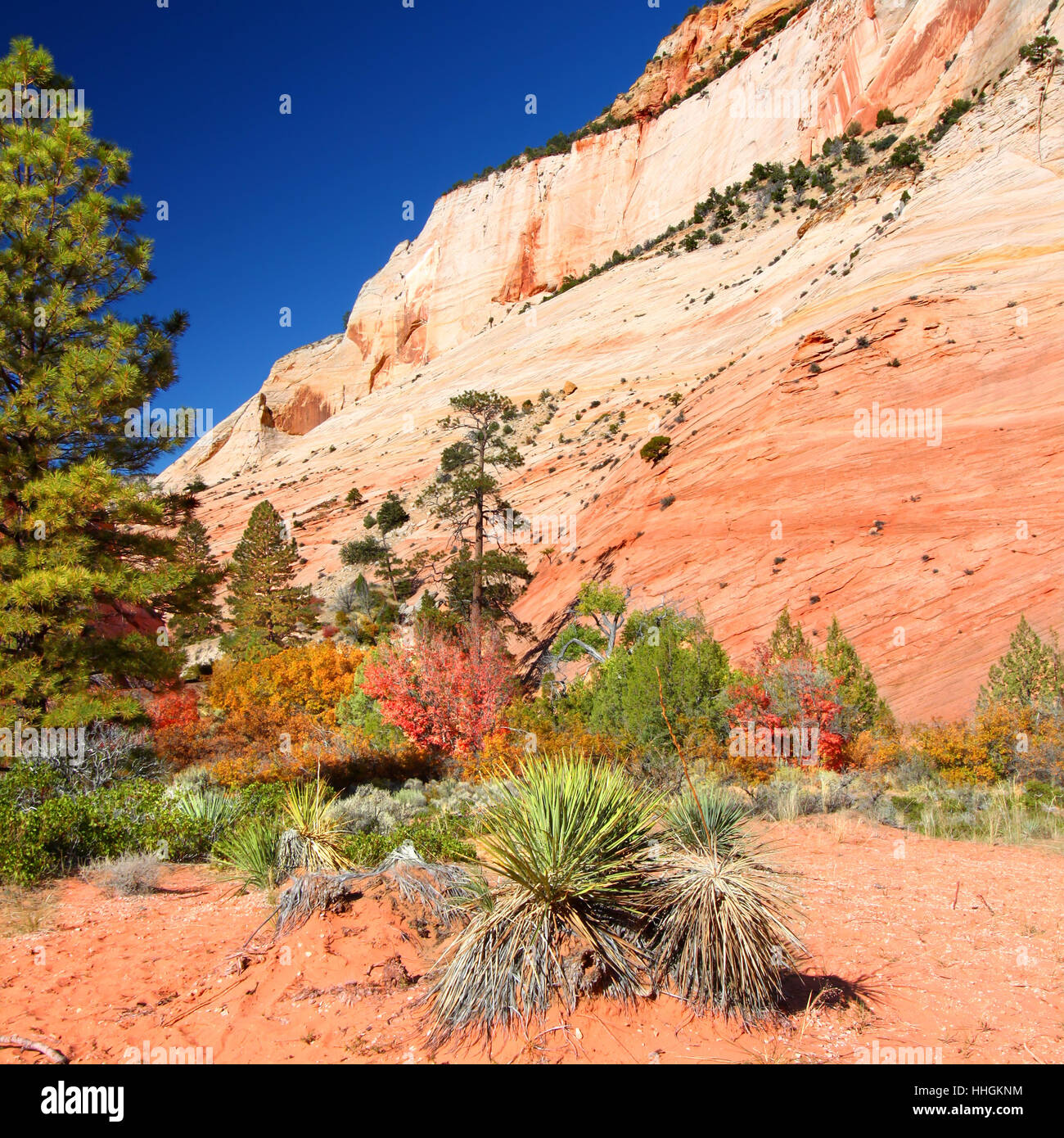 park, usa, rock, america, national, cliff, geology, beautiful ...