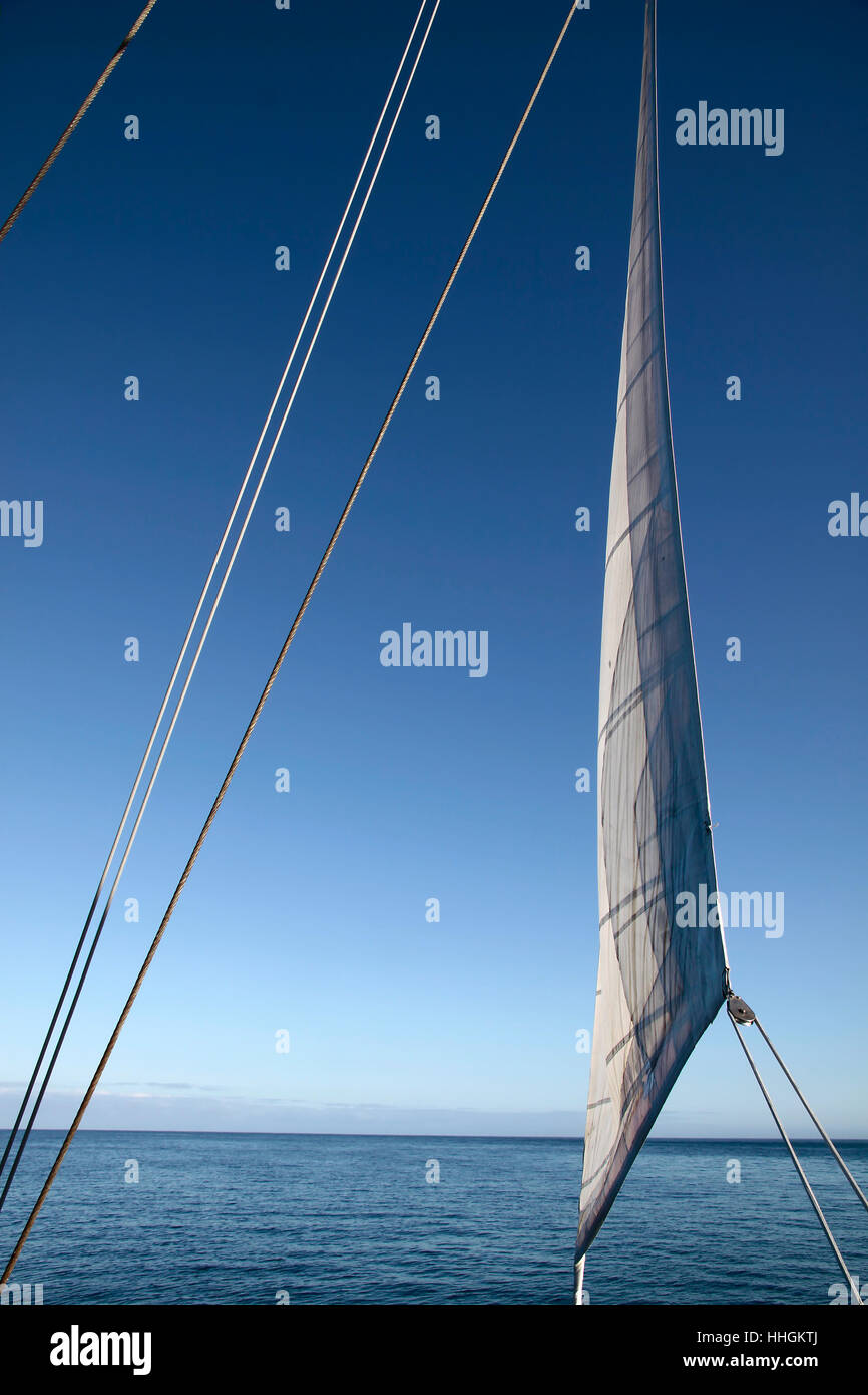 sail, sailing ship, sailing boat, sailboat, rowing boat, boat ...