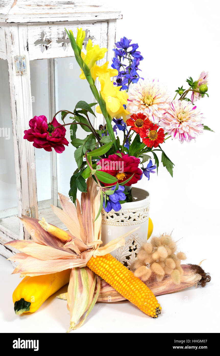 blue, optional, garden, leaves, coloured, colourful, gorgeous ...