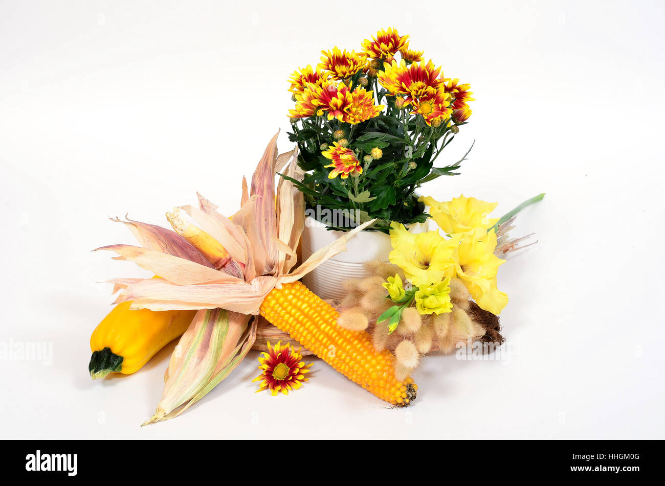 blue, optional, garden, leaves, coloured, colourful, gorgeous ...